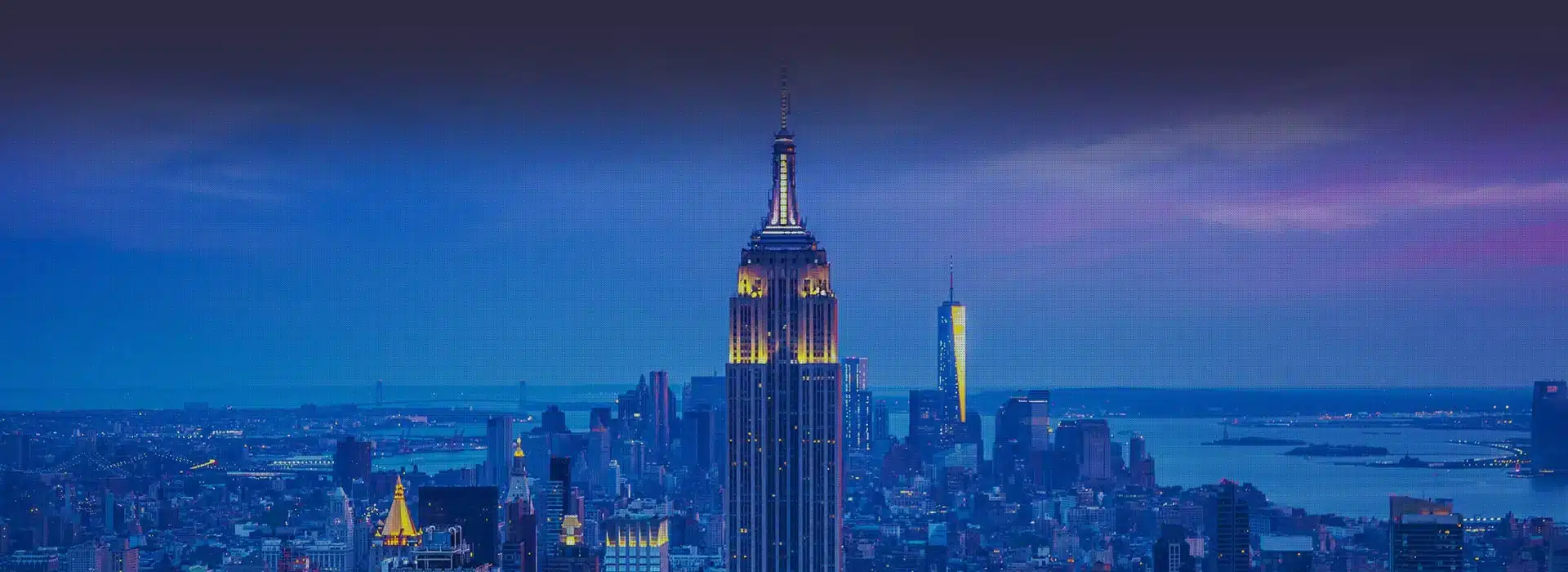 Web Design Company in New York | Web Development - Top Notch Dezigns